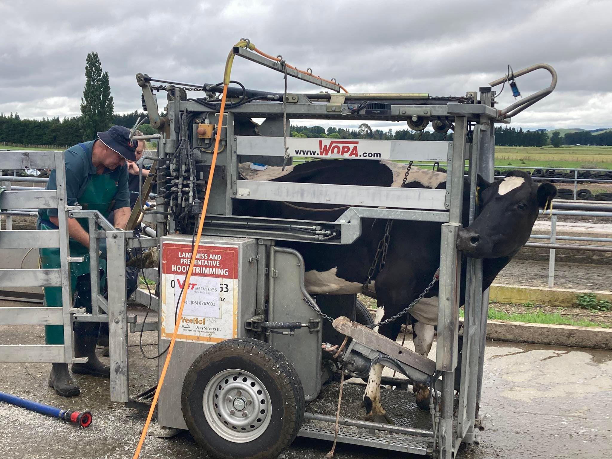 Dairy – The Vet Clinic Wairarapa